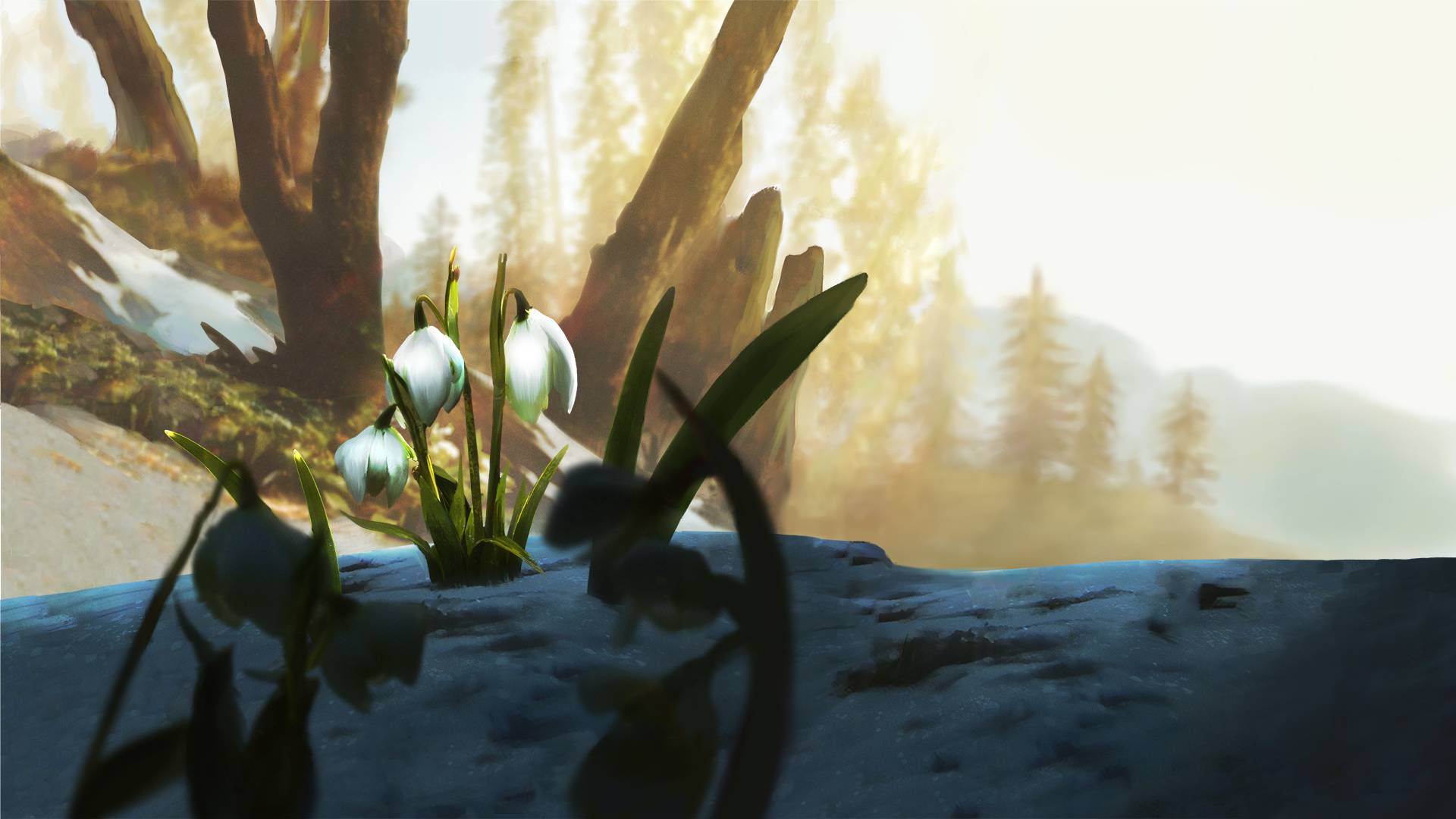 Acompanhe o GWENT Open #2! - GWENT: The Witcher Card Game