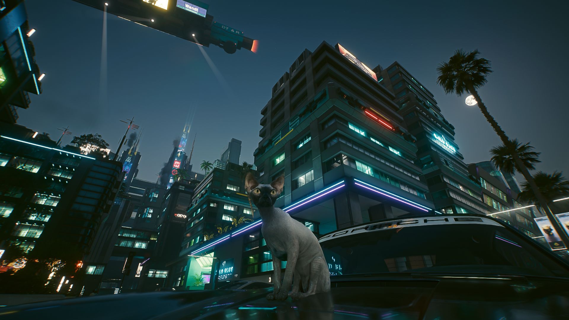 Home of the Cyberpunk 2077 universe — games, anime & more