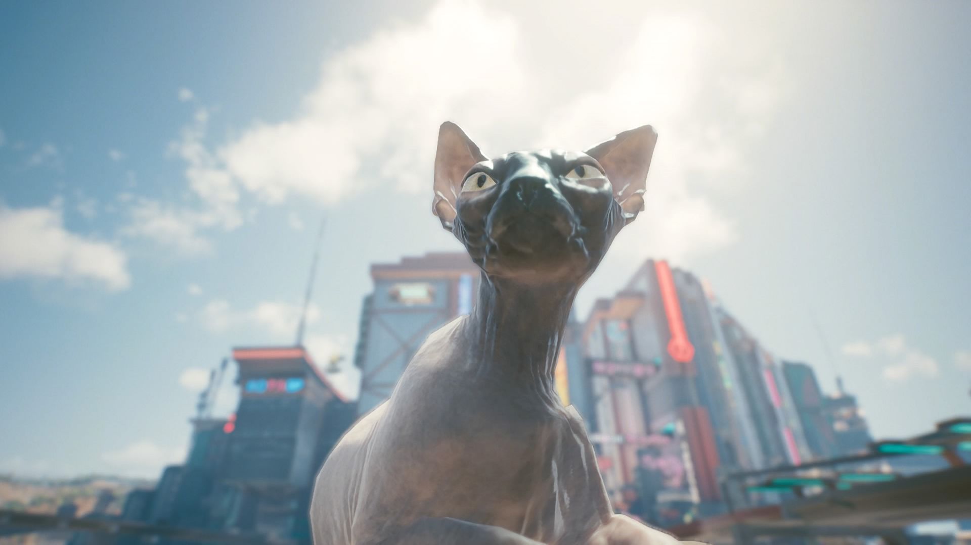 『サイバーパンク2077』のホームへようこそ。ゲームやアニメ、その他メディアなど――サイバーパンクのすべてがここに