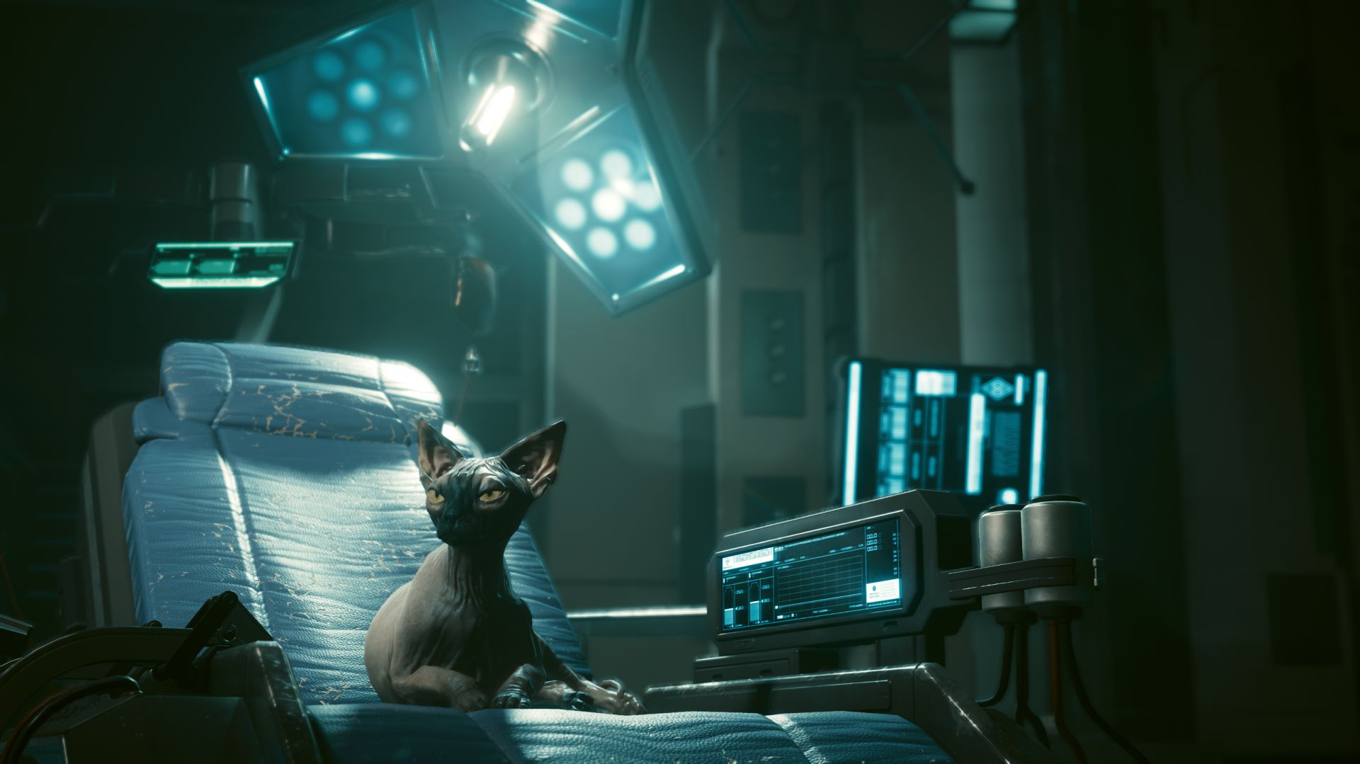 Home of the Cyberpunk 2077 universe — games, anime & more