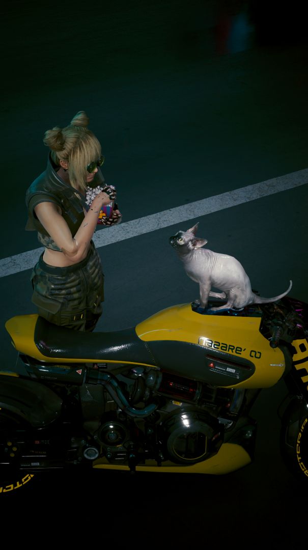 Home of the Cyberpunk 2077 universe — games, anime & more