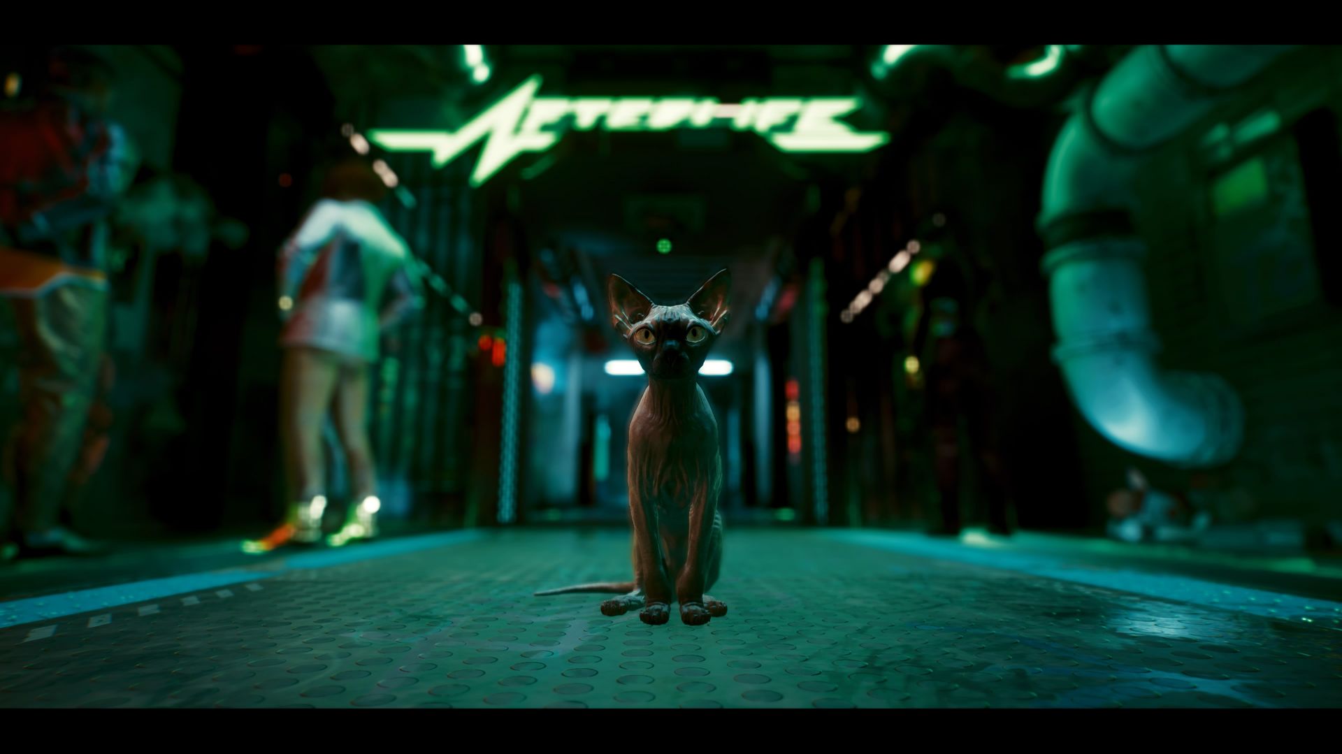 『サイバーパンク2077』のホームへようこそ。ゲームやアニメ、その他メディアなど――サイバーパンクのすべてがここに