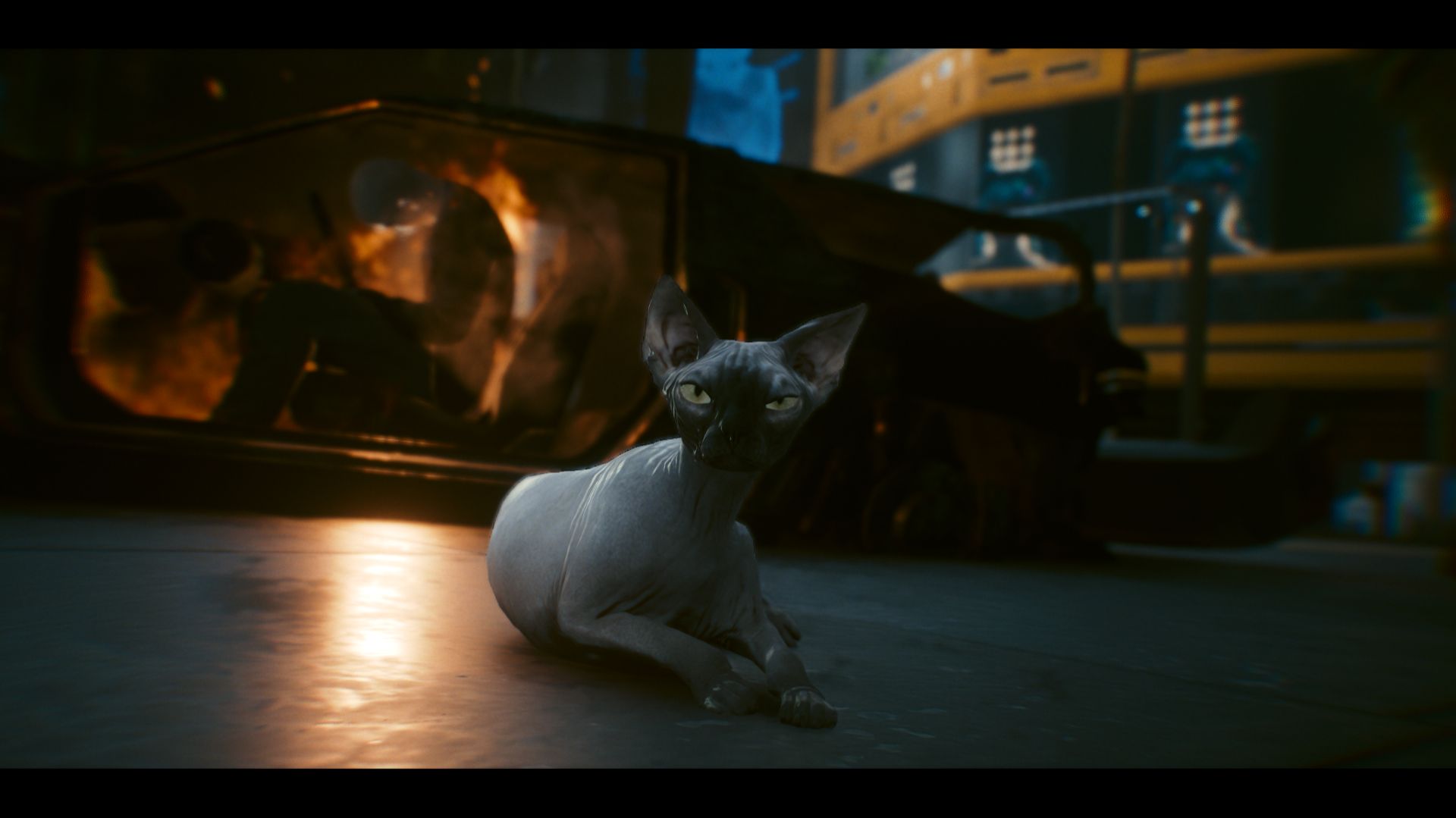 Home of the Cyberpunk 2077 universe — games, anime & more