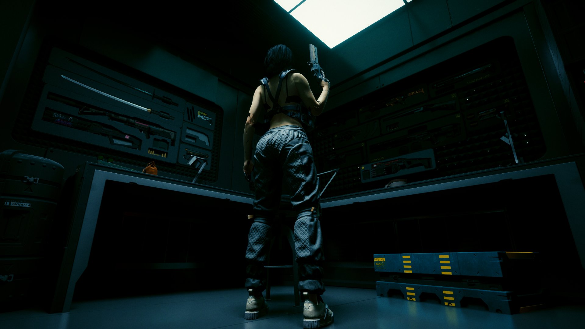 Home Of The Cyberpunk 2077 Universe — Games Anime And More