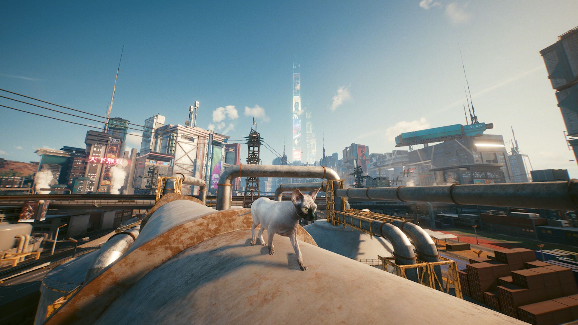 Home of the Cyberpunk 2077 universe — games, anime & more