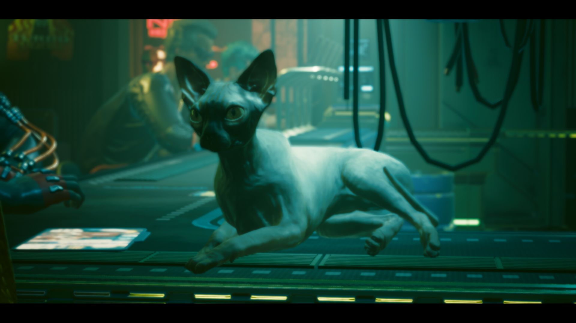 Home of the Cyberpunk 2077 universe — games, anime & more