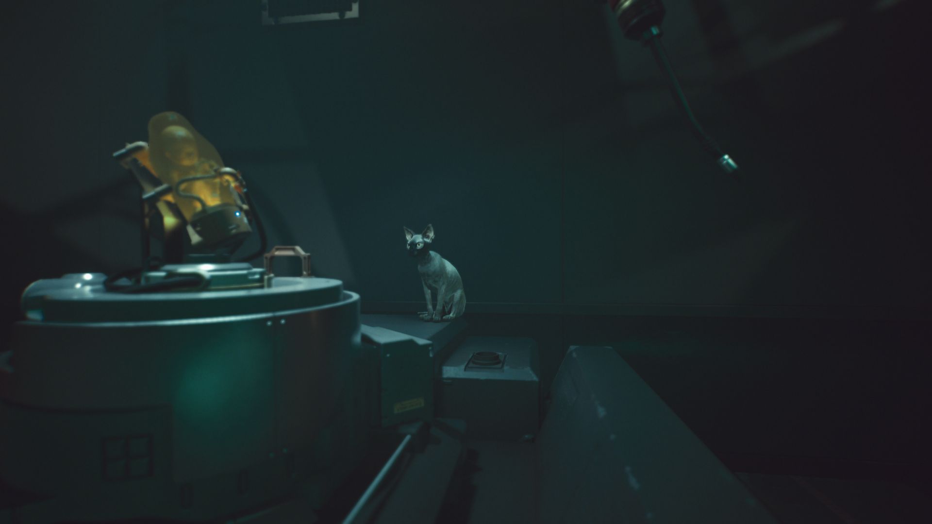 Home of the Cyberpunk 2077 universe — games, anime & more