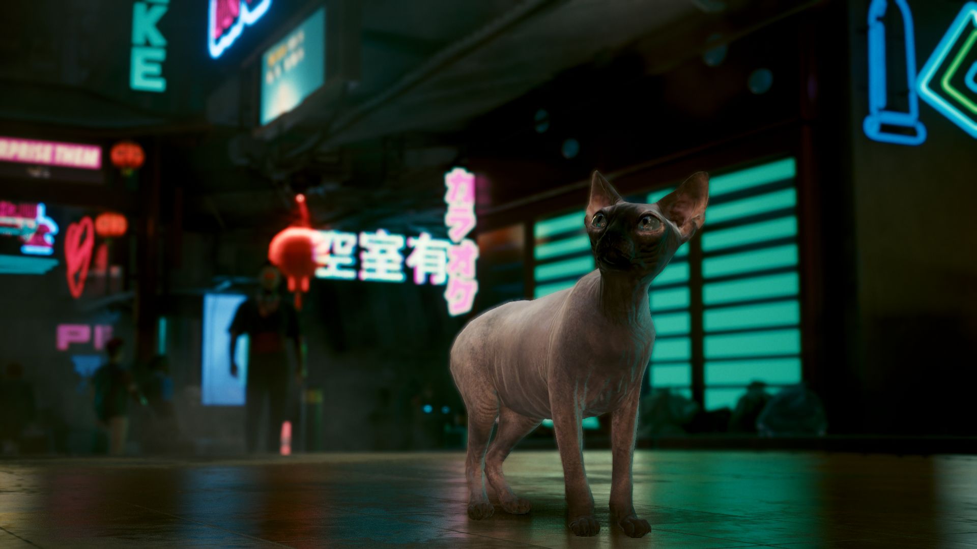 Home of the Cyberpunk 2077 universe — games, anime & more