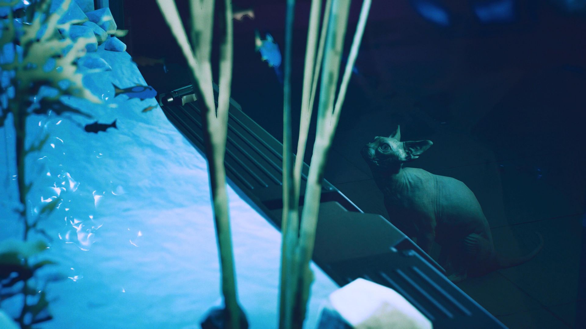 Home of the Cyberpunk 2077 universe — games, anime & more